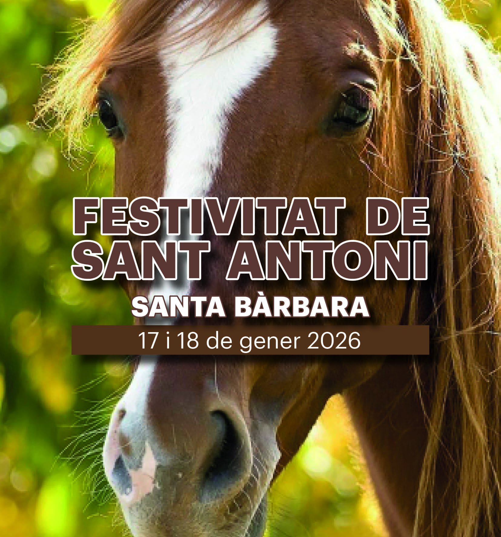 Festivitat de Sant Antoni 2026 a Santa Bàrbara - Canal TE - Canal ...